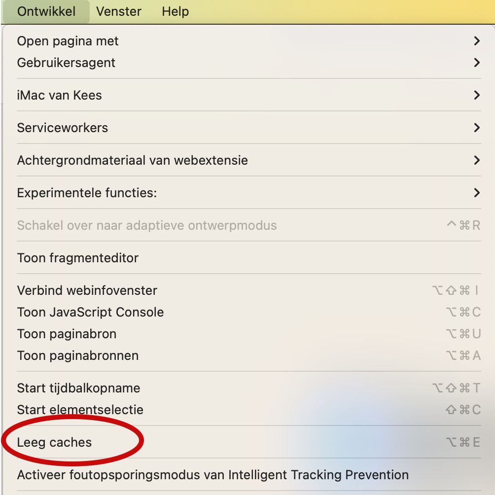 Browsercache legen in Safari - Lamper Design